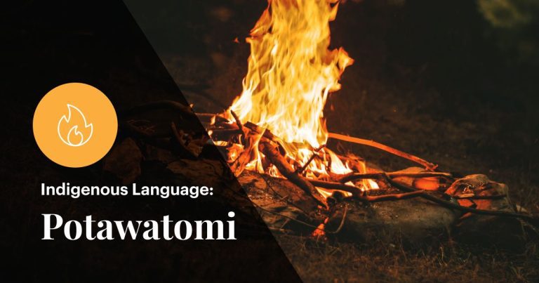 Endangered Indigenous Languages - Mango Languages